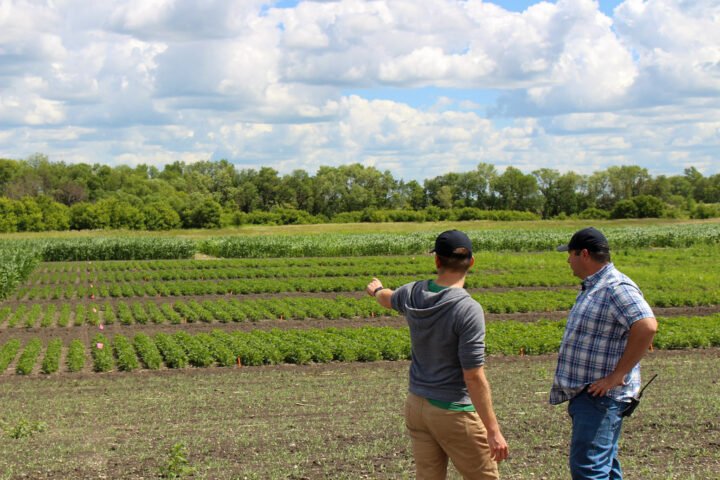 Projects | Grand Farm