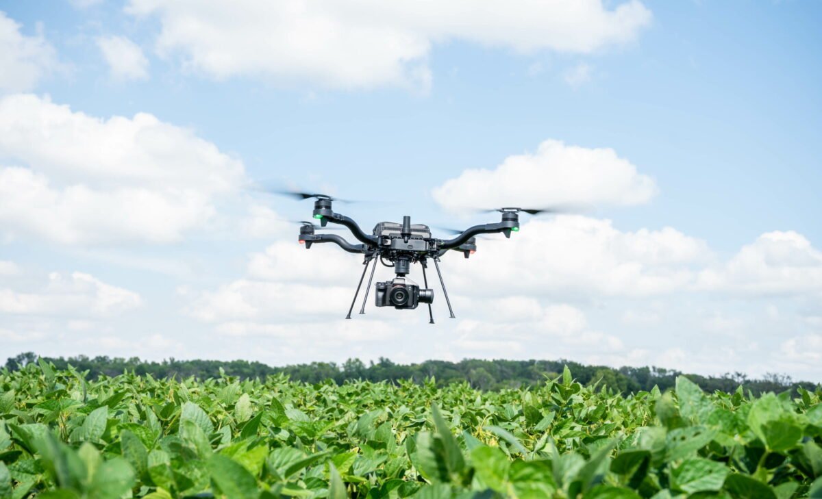 Autonomous Nation - Grand Farm