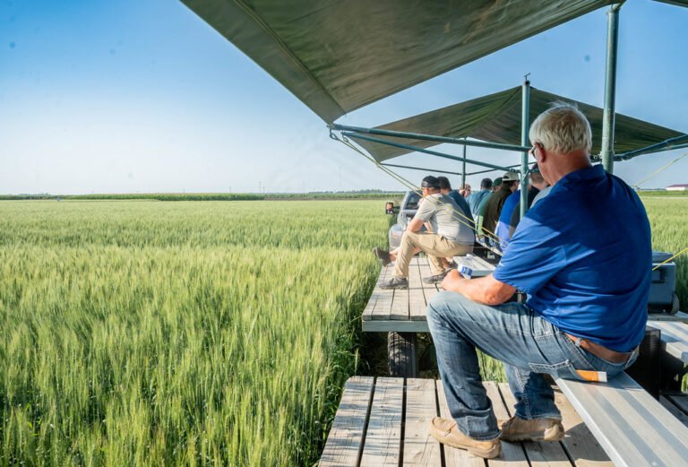 Field Days - Grand Farm