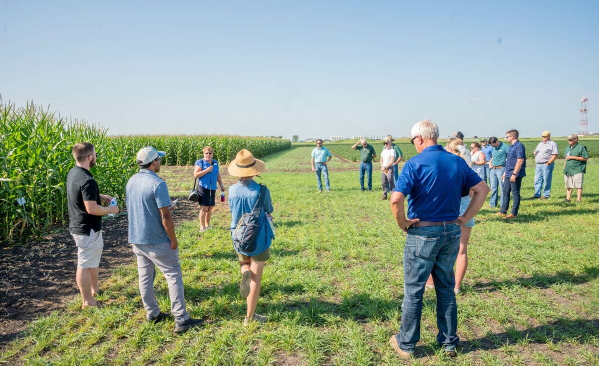 Projects - Grand Farm